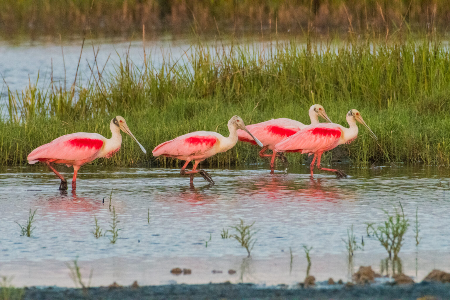 Powderhorn Ranch - Texas Parks and Wildlife Foundation