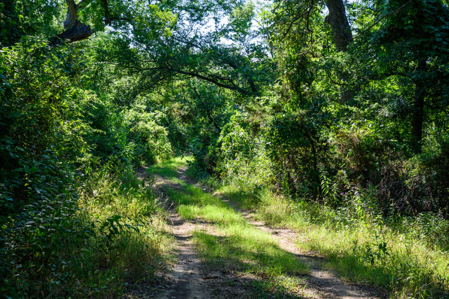 Palo Pinto Mountains State Park - Texas Parks and Wildlife Foundation