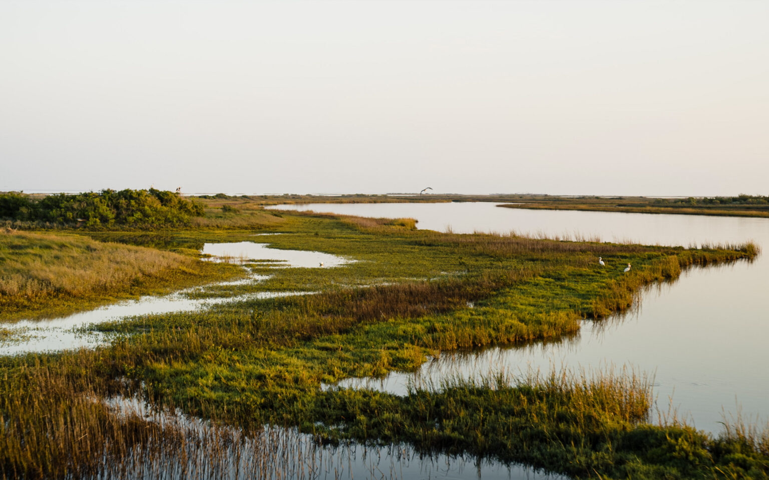 Powderhorn Ranch - Texas Parks and Wildlife Foundation