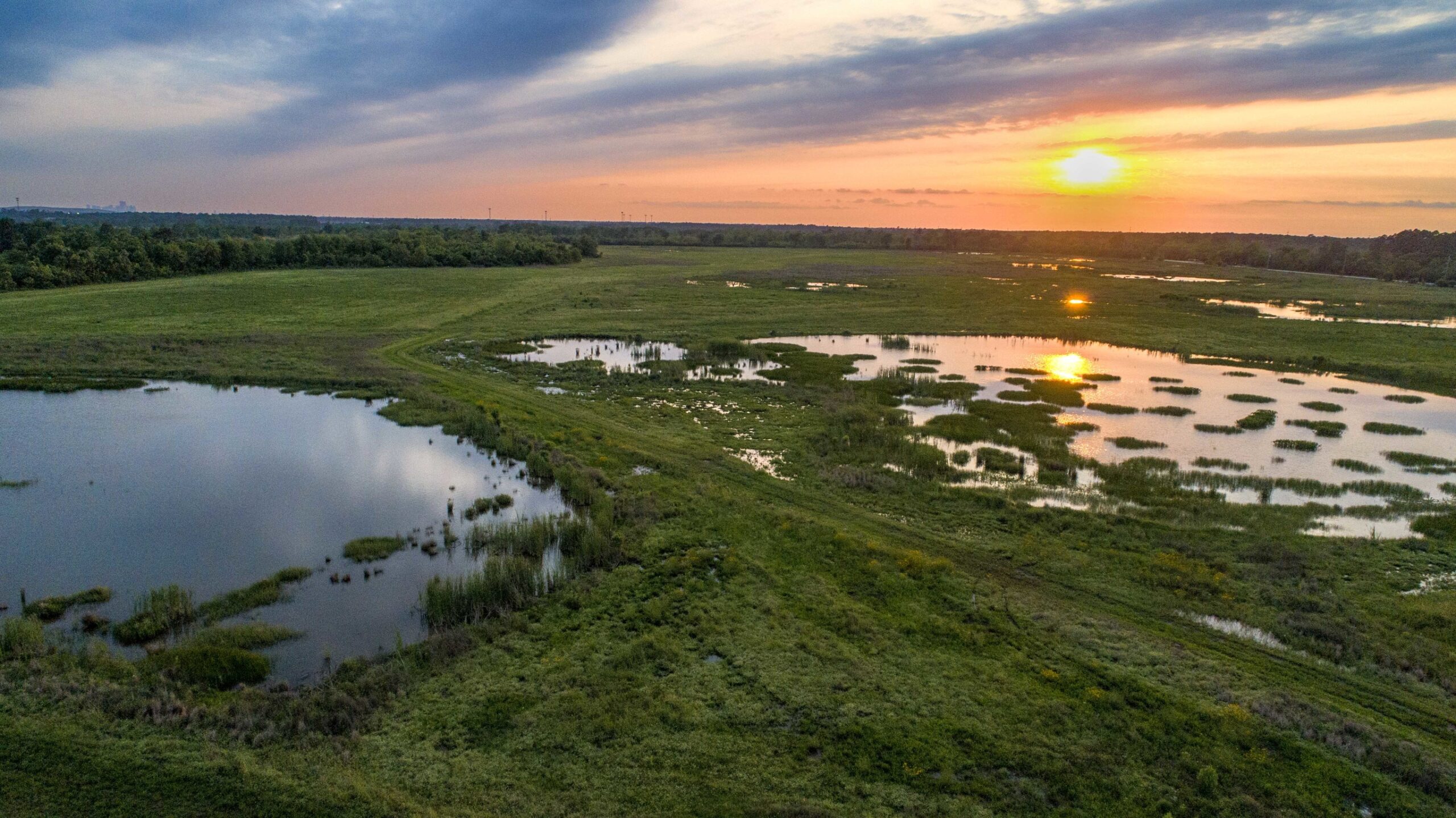 Fondren Foundation - Texas Parks and Wildlife Foundation